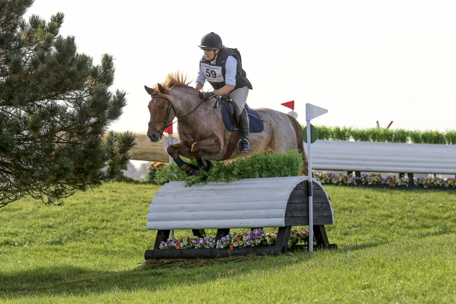 Performance Pony of the Year Competition 2024.. - New Forest Pony ...