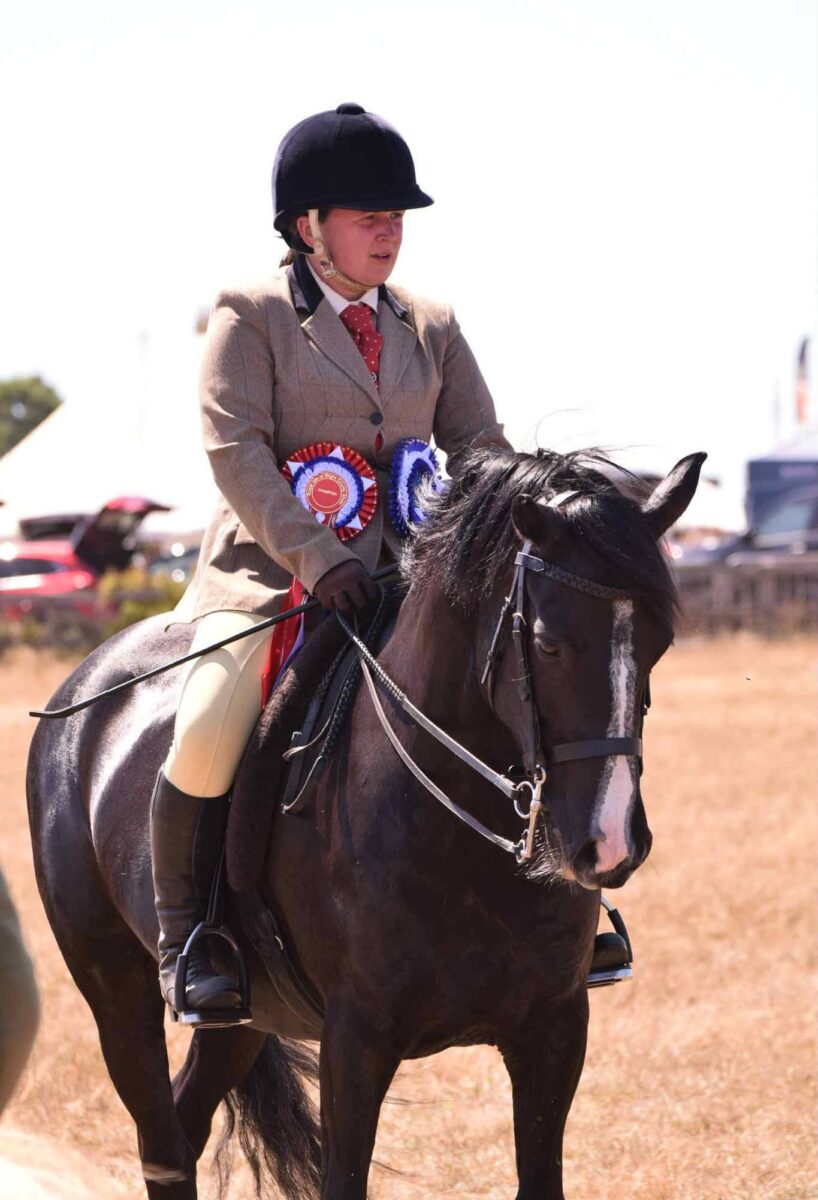 Success at Royal Isle of Wight County Show... - New Forest Pony ...