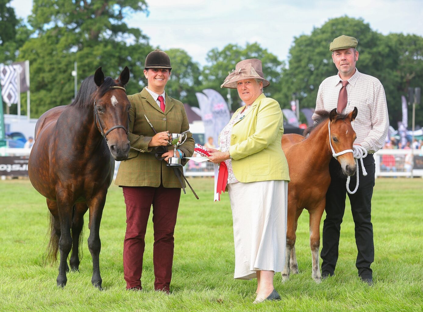 New Forest & Hampshire County (Elite) Show... - New Forest Pony ...
