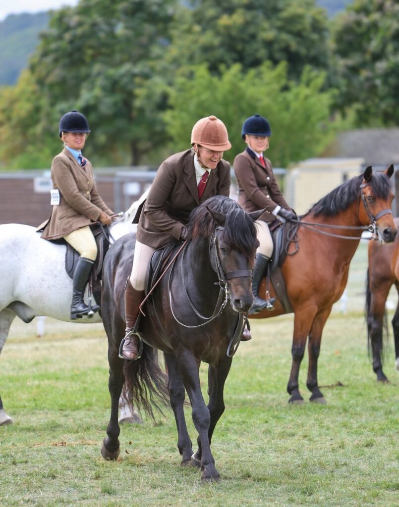 NPS Summer Championships (Elite Show)... - New Forest Pony & Cattle ...